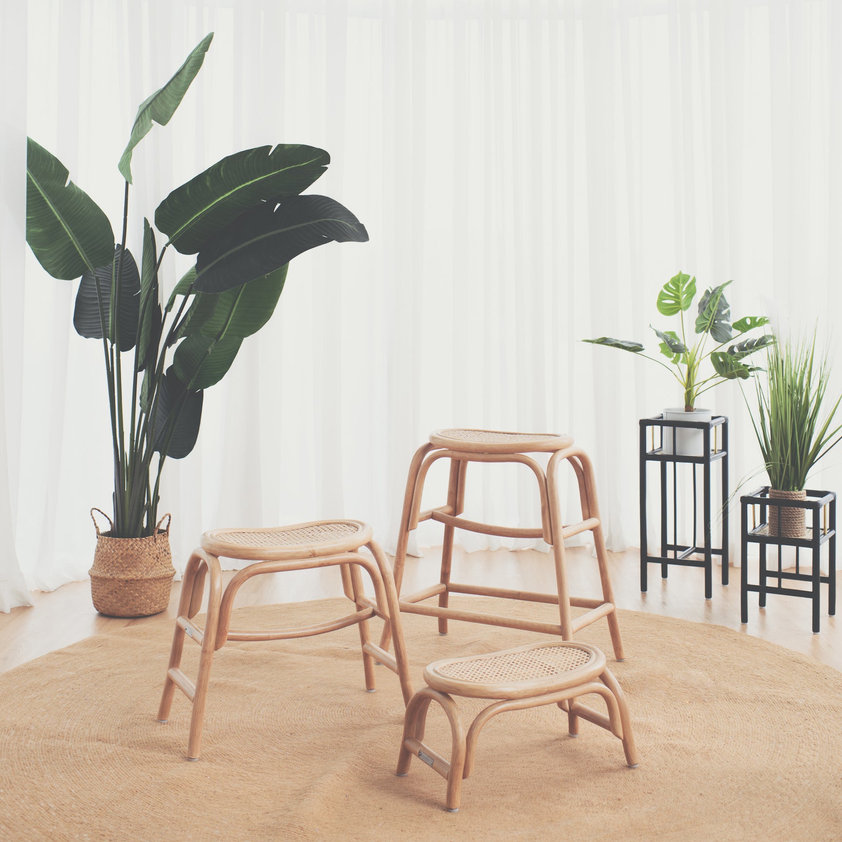 Nature Native | Home Decor & Furniture